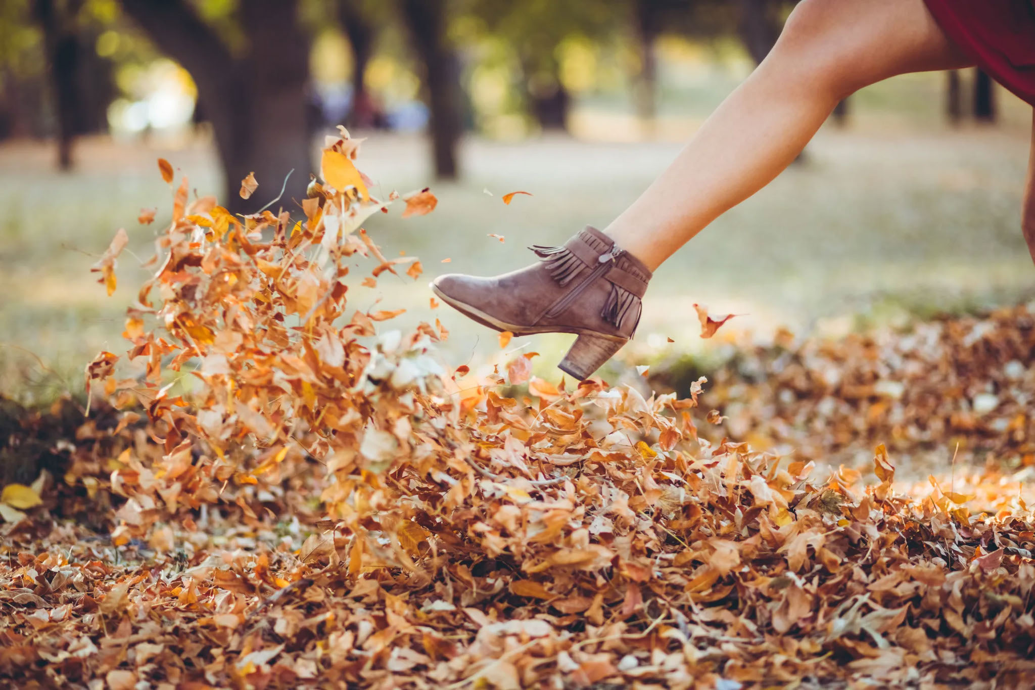 Best Women’s Shoes for Fall Under $100 on Amazon (2025 Deals)