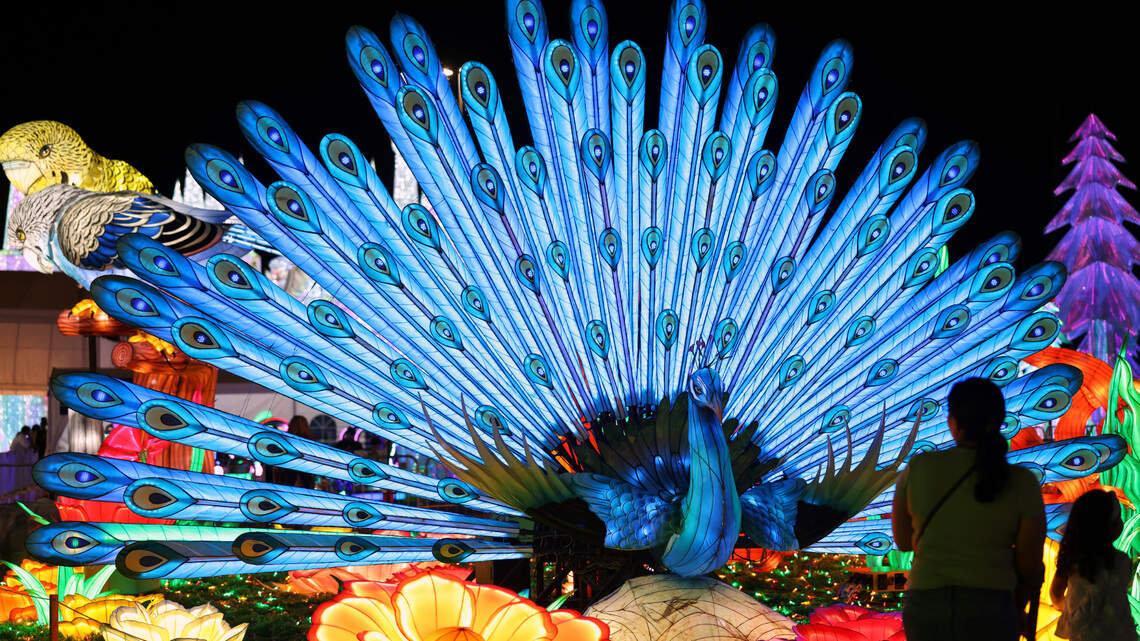 Tianyu Lights Festival: A must-see event at Concord Mills | Charlotte ...