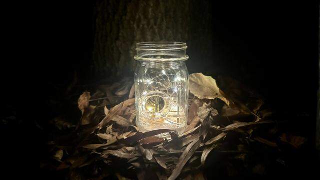 $25K real-life treasure hunt launched in NC mountains | Charlotte Observer