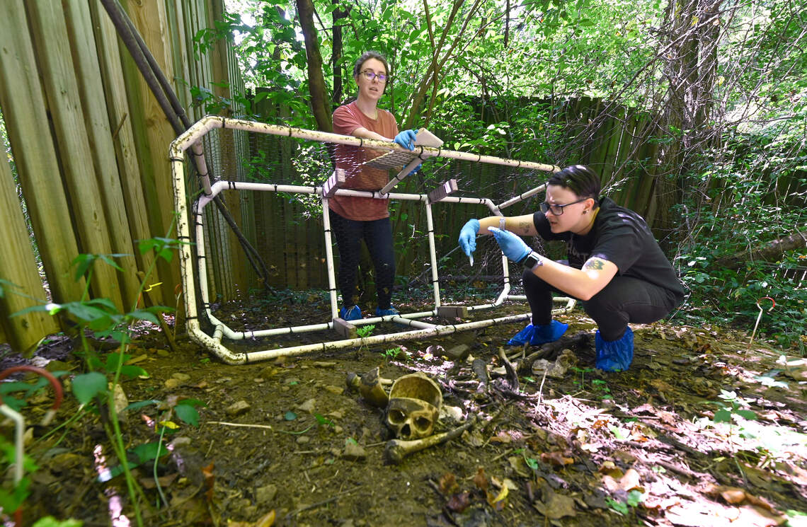 Human decomposition research at North Carolina university | Charlotte ...