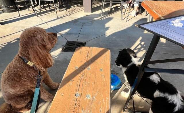 Where to meet people in Charlotte: Tips for newcomers | Charlotte Observer