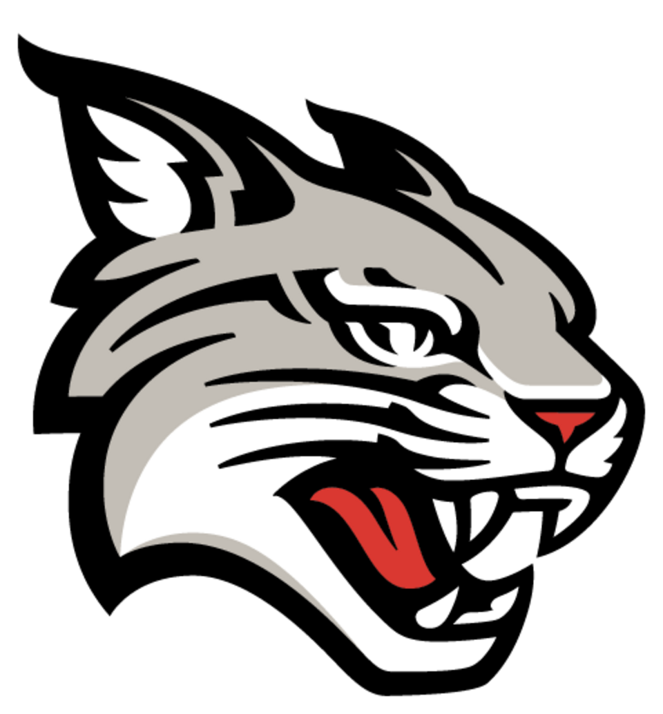 Davidson College unveils new wildcat logo | Charlotte Observer
