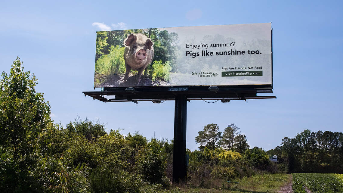 NC photographers’ struggle reflects power of pork industry | Raleigh ...