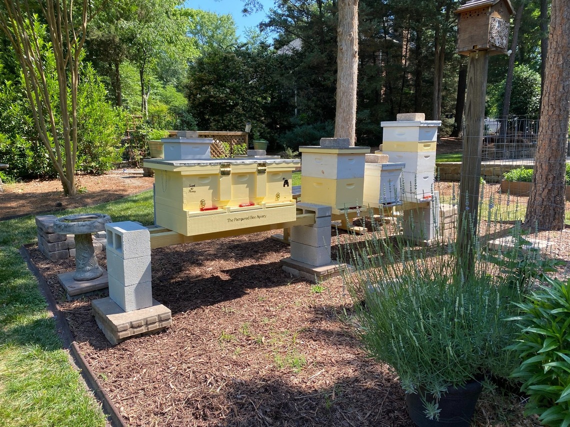 Where you can find local honey products in Charlotte NC | Charlotte ...