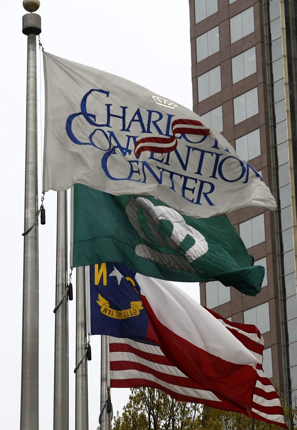 Which are Charlotte’s colors? Why blue, white and green | Charlotte ...